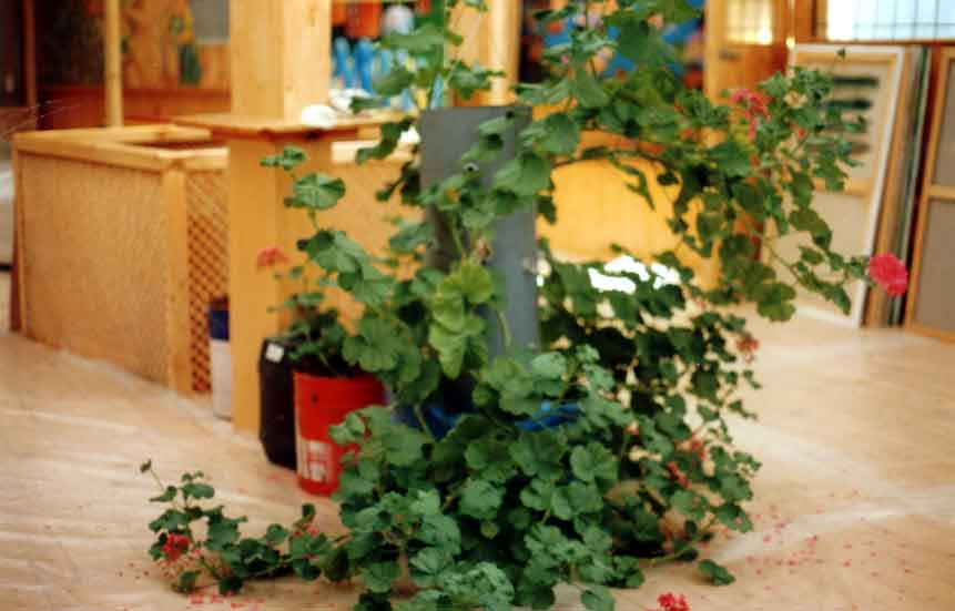 Studios – ELGGoDo.com