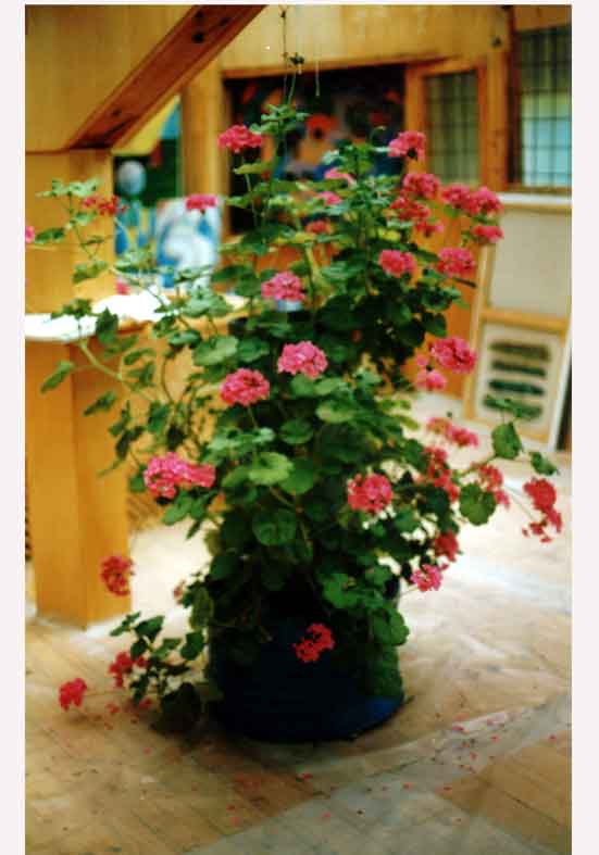 Studios – ELGGoDo.com